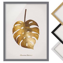 Bilderwelten Bild mit Rahmen - Hochformat Gold - Monstera