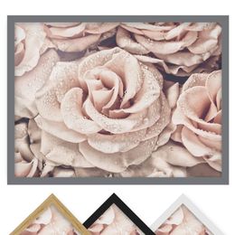 Bilderwelten Bild mit Rahmen - Querformat Rosen Sepia mit Wassertropfen