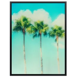 Bilderwelten Leinwandbild Palmen vor Himmel Blau