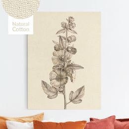 Bilderwelten Leinwandbild Botanische Studie in Sepia II