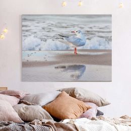 Bilderwelten Leinwandbild M&ouml;we am Strand vor Meer