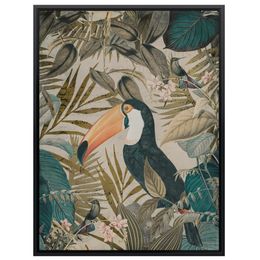 Bilderwelten Leinwandbild Vintage Collage - Tukan im Dschungel