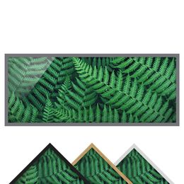 Bilderwelten Bild mit Rahmen - Panorama Farn
