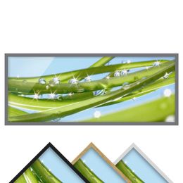 Bilderwelten Bild mit Rahmen - Panorama Fresh Green