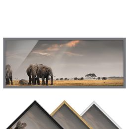 Bilderwelten Bild mit Rahmen - Panorama Elefanten der Savanne