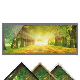 Bilderwelten Bild mit Rahmen - Panorama Autumn Avenue