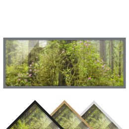 Bilderwelten Bild mit Rahmen - Panorama Del Norte Coast Redwoods State Park Kalifornien