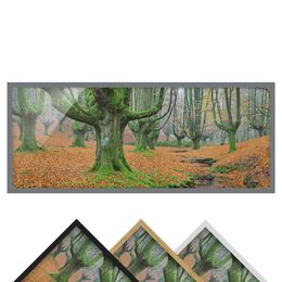 Bilderwelten Bild mit Rahmen - Panorama Buchenwald im Gorbea Naturpark in Spanien