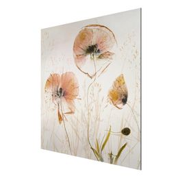 Bilderwelten Alu-Dibond Outdoor Bild Getrocknete Mohnbl&uuml;ten mit zarten Gr&auml;sern