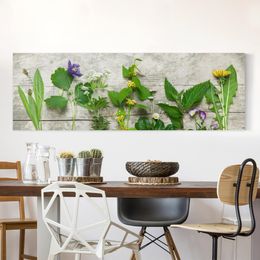 Bilderwelten Leinwandbild - Panorama Heil und Wiesenkr&auml;uter