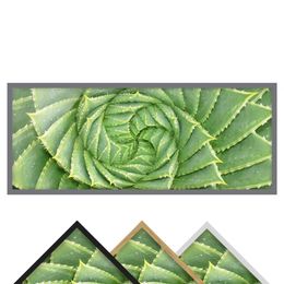 Bilderwelten Bild mit Rahmen - Panorama Spiral Aloe