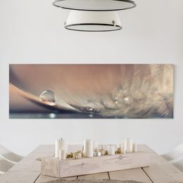 Bilderwelten Leinwandbild - Panorama Story of a Waterdrop