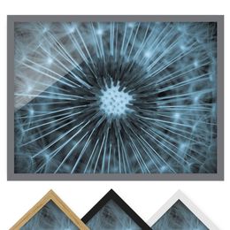 Bilderwelten Bild mit Rahmen - Querformat Blau get&ouml;nte Pusteblume
