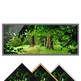 Bilderwelten Bild mit Rahmen - Panorama Verborgene Lichtung