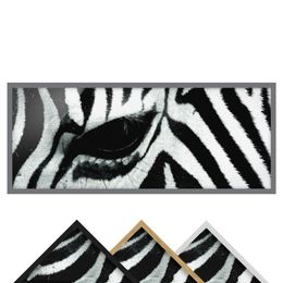 Bilderwelten Bild mit Rahmen - Panorama Zebra Crossing