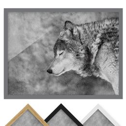 Bilderwelten Bild mit Rahmen - Querformat Winter Wolf