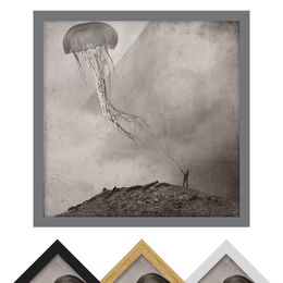 Bilderwelten Bild mit Rahmen - Quadrat Fliegende Medusa