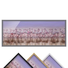 Bilderwelten Bild mit Rahmen - Panorama Flamingo Party