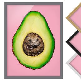 Bilderwelten Bild mit Rahmen - Hochformat Avocado mit Igel