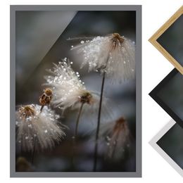 Bilderwelten Bild mit Rahmen - Hochformat Pusteblumen mit Schneeflocken