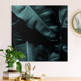 Bilderwelten Leinwandbild Tropisch Kunstdruck gr&uuml;n - Dschungel Bl&auml;tter Dunkelgr&uuml;n - Wandbild XXL Wohnzimmer Schlafzimmer
