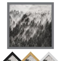 Bilderwelten Bild mit Rahmen - Quadrat Lichtstrahlen im Nadelwald