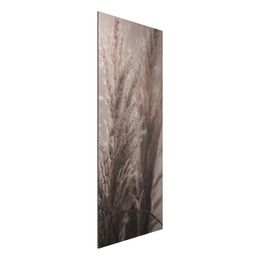 Alu Dibond Outdoor Bild - Pampasgras im Sp&auml;therbst - Blumen braun Landhaus wetterfest Gr&auml;ser Wohnzimmer Schlafzimmer