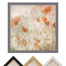 Bilderwelten Bild mit Rahmen Mohnblumen und Gr&auml;ser im Feld