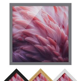 Bilderwelten Bild mit Rahmen Flamingofedern Close-up