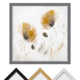 Bilderwelten Bild mit Rahmen Mohnblumen und zarte Gr&auml;ser im weichen Nebel