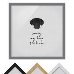 Bilderwelten Bild mit Rahmen Haustier Zitat Sorry My Dog Said No