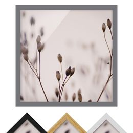 Bilderwelten Bild mit Rahmen Dunkle Knospen am Wildblumenzweig