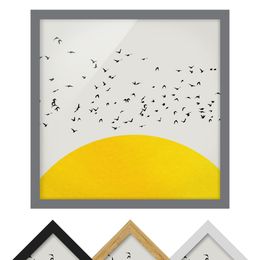 Bilderwelten Bild mit Rahmen Vogelschwarm vor gelber Sonne