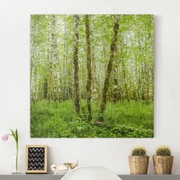 Bilderwelten Leinwandbild Wald Motiv Kunstdruck gr&uuml;n - Hoh Rainforest Olympic National Park - B&auml;ume XXL Wohnzimmer Schlafzimmer