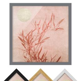 Bilderwelten Bild mit Rahmen Goldene Sonne mit Rosa Bambus