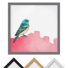 Bilderwelten Bild mit Rahmen Vogel auf Pink