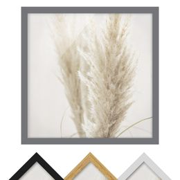 Bilderwelten Bild mit Rahmen Flauschiges Pampasgras