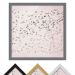Bilderwelten Bild mit Rahmen Vogelschwarm im Sonnenuntergang