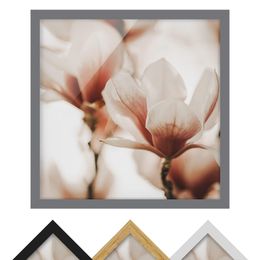 Bilderwelten Bild mit Rahmen Zarte Magnolienbl&uuml;ten im Lichtspiel