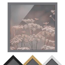 Bilderwelten Bild mit Rahmen Wilde Doldenbl&uuml;ten