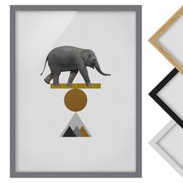 Bilderwelten Bild mit Rahmen Balancekunst Elefant