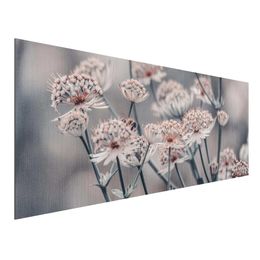 Alu Dibond Outdoor Bild - Mystischer Bl&uuml;tenstrauch - Blumen braun Landhaus wetterfest Gr&auml;ser Wohnzimmer Schlafzimmer