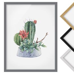 Bilderwelten Bild mit Rahmen Aquarell Kakteen Illustration