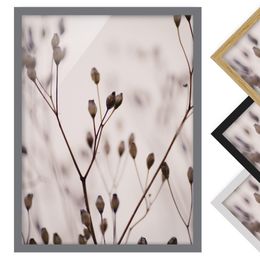 Bilderwelten Bild mit Rahmen Dunkle Knospen am Wildblumenzweig