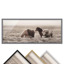 Bilderwelten Bild mit Rahmen Island Wildpferde
