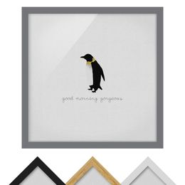 Bilderwelten Bild mit Rahmen Pinguin Zitat Good Morning Gorgeous