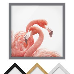 Bilderwelten Bild mit Rahmen Zwei Flamingos
