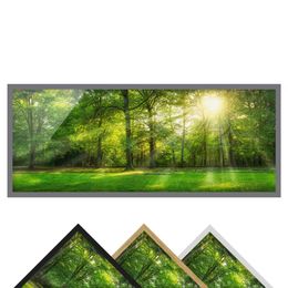 Bilderwelten Bild mit Rahmen Spaziergang im Wald