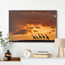 Wechselbild F&uuml;nf Giraffen
