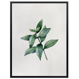 Bilderwelten Leinwandbild Aquarell Eucalyptus III